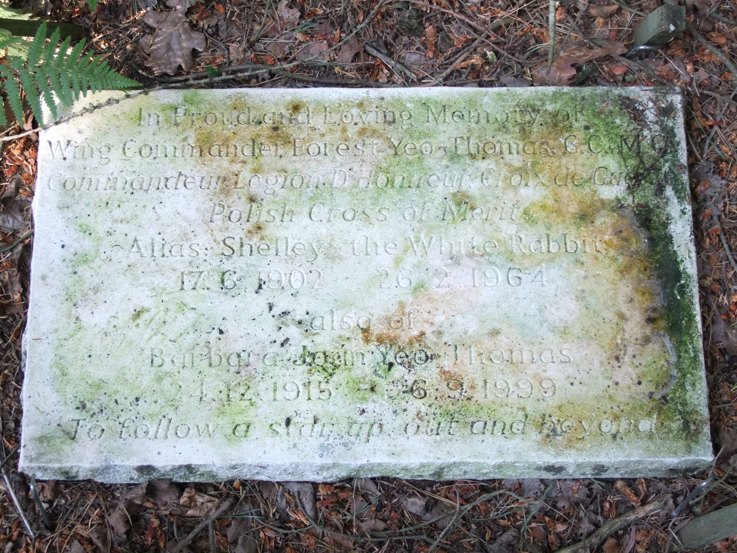 Forest Frederick Edward “Tommy” Yeo-Thomas GC (Direct Recipient) MC ...