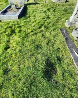 victoriacrossonline.co.uk